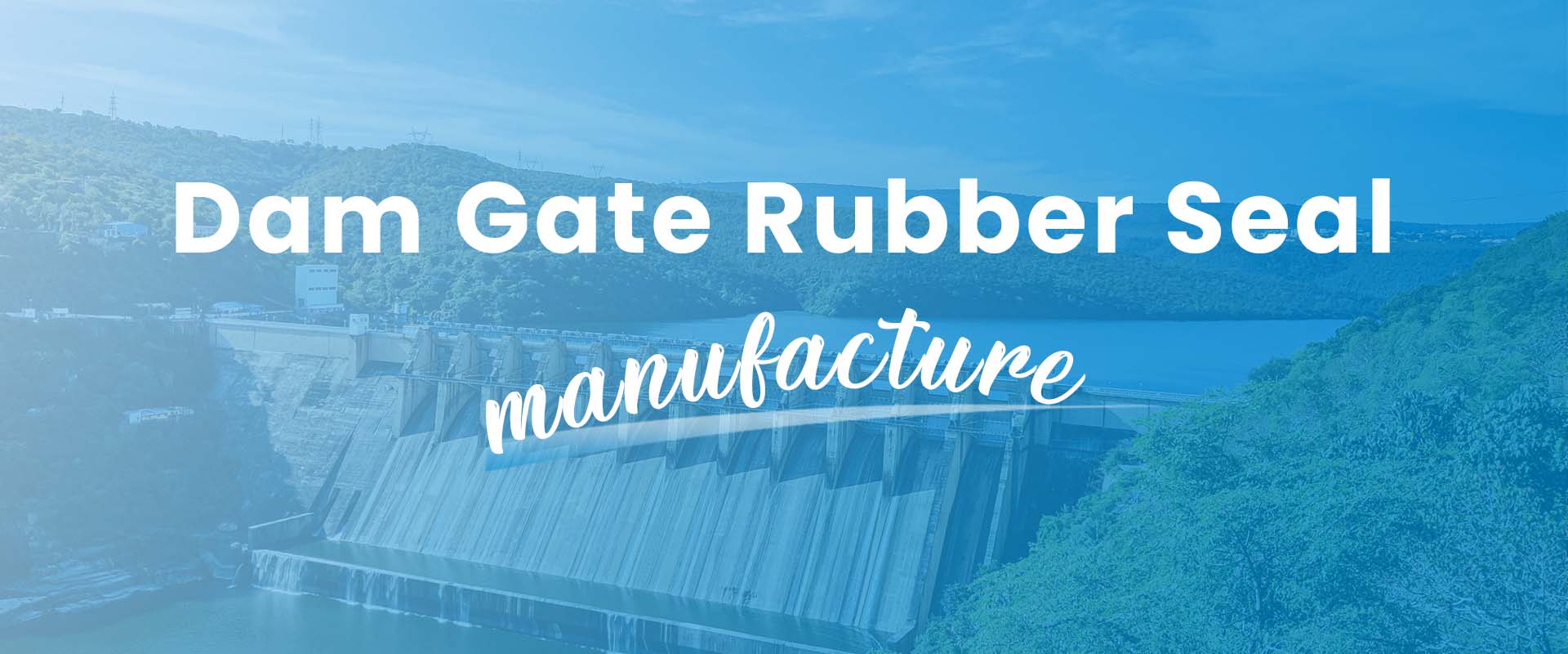 Dam Gate Rubber Seal, Dam Gate Seals Manufacturer in Ahmedabad, India.